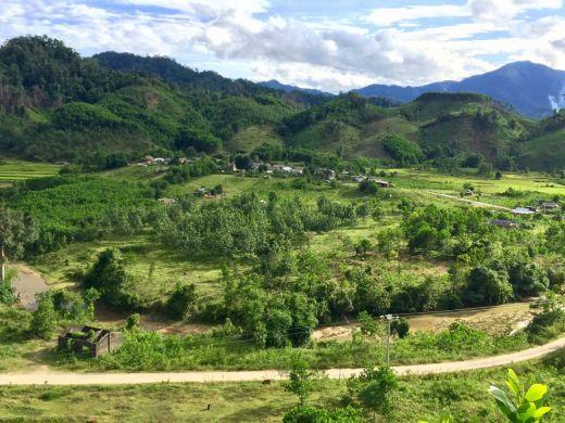 Assessing the ‘nature’ of a ‘forest transition’ in Vietnam: ecosystem ...